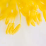 Manual Focus Mode: The Ultimate Guide