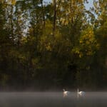 Manual Mode in Photography: The Complete Guide