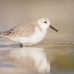 Manual Mode in Photography: The Complete Guide