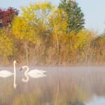 Manual Mode in Photography: The Complete Guide