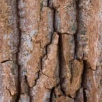 Manual Mode in Photography: The Complete Guide