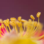 Manual Mode in Photography: The Complete Guide