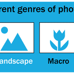 Photography Lessons for Kids (15 Easy Tips to Implement Now)
