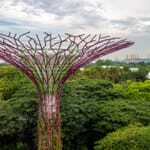 Photography Lessons for Kids (15 Easy Tips to Implement Now)