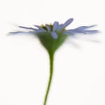 Program Mode in Photography: A Complete Guide