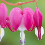 Program Mode in Photography: A Complete Guide