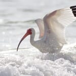 Shutter Priority: A Complete Guide to for Stunning Photos