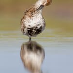 Shutter Priority: A Complete Guide to for Stunning Photos