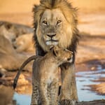 Vantage Point in Photography: A Guide (Plus 22 Examples)