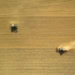 Vantage Point in Photography: A Guide (Plus 22 Examples)