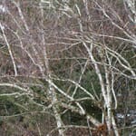 White Balance: An Ultimate Guide to Color-Correcting Photos