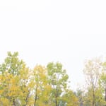 White Balance: An Ultimate Guide to Color-Correcting Photos