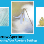 Wide vs Narrow Aperture: A Guide to Choosing the Right Aperture
