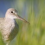 Wide vs Narrow Aperture: Guide to the Perfect Aperture