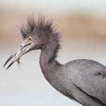 Wide vs Narrow Aperture: Guide to the Perfect Aperture