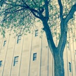 What is Zone Focusing and How Should You Use It?