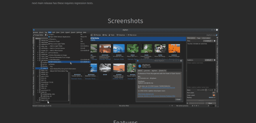 Best Software to Organize Your Photos on a Windows PC (Free and Paid!)
