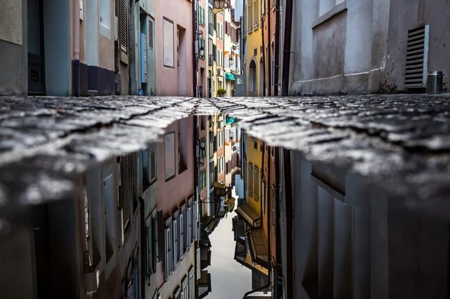 How to Use Reflectors in Photography: The Ultimate Guide