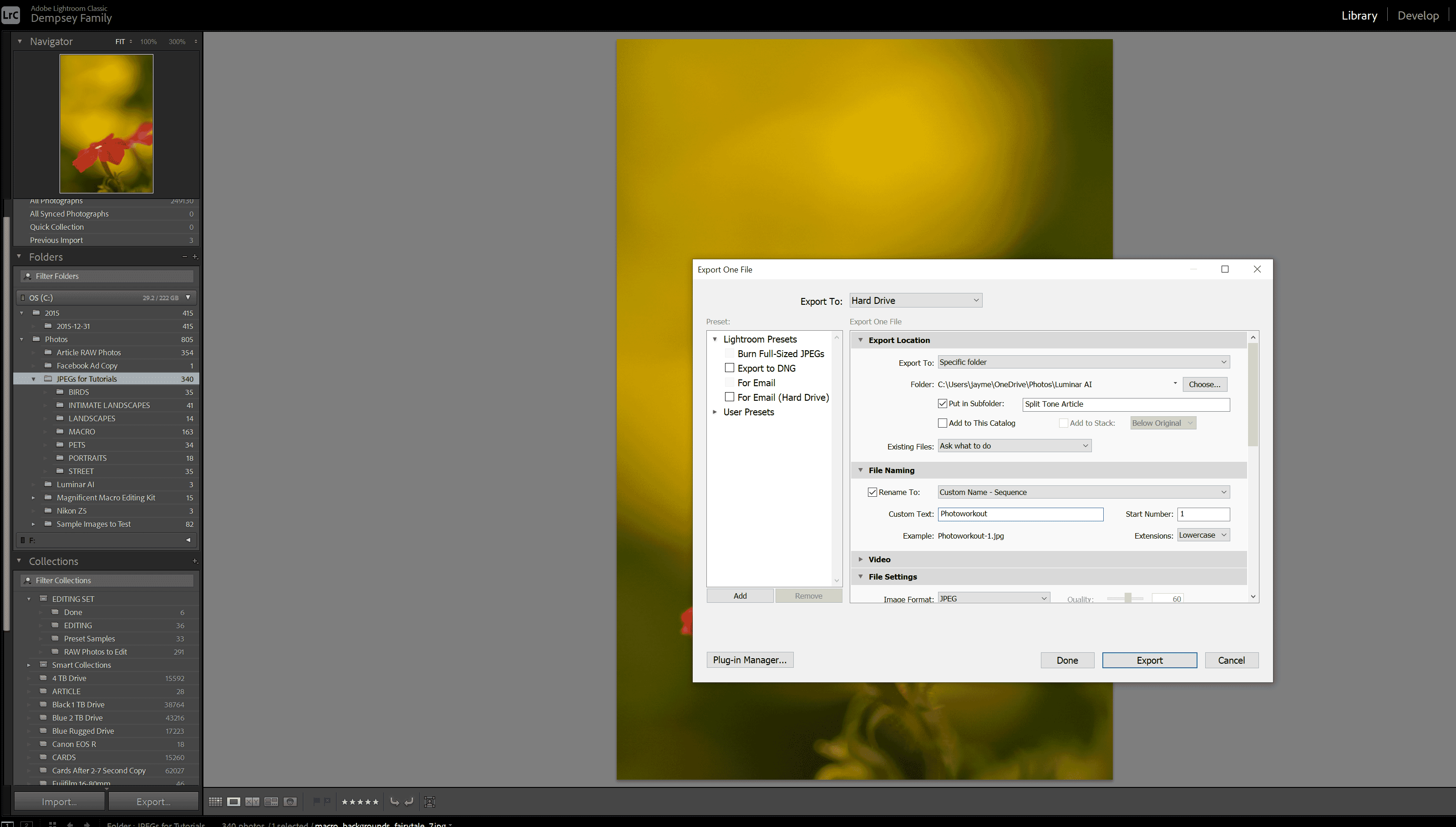 Color Management for Photographers: A Complete Guide