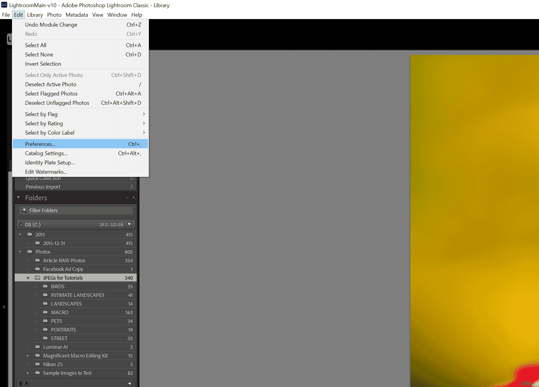 Color Management for Photographers: A Complete Guide
