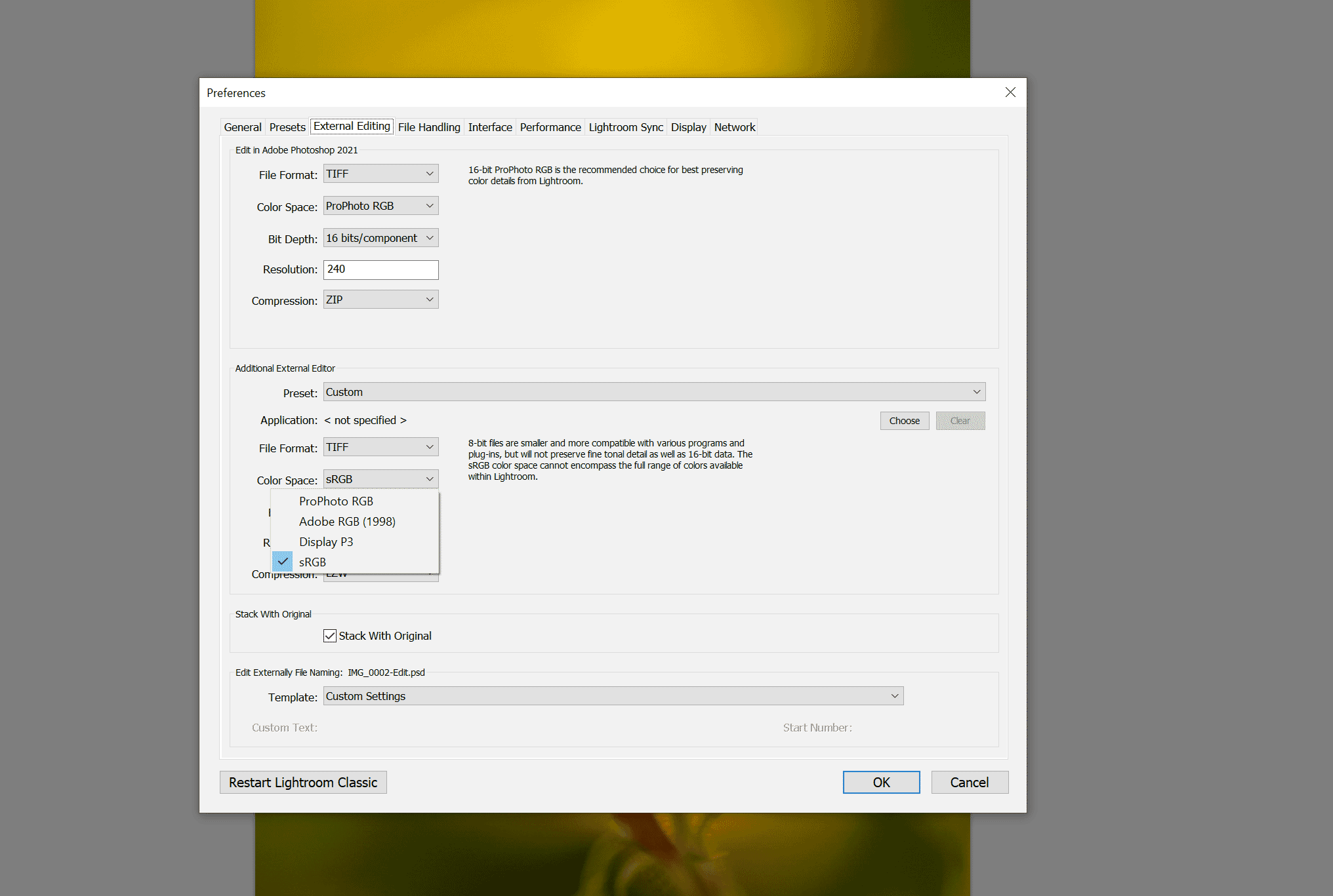 Color Management for Photographers: A Complete Guide