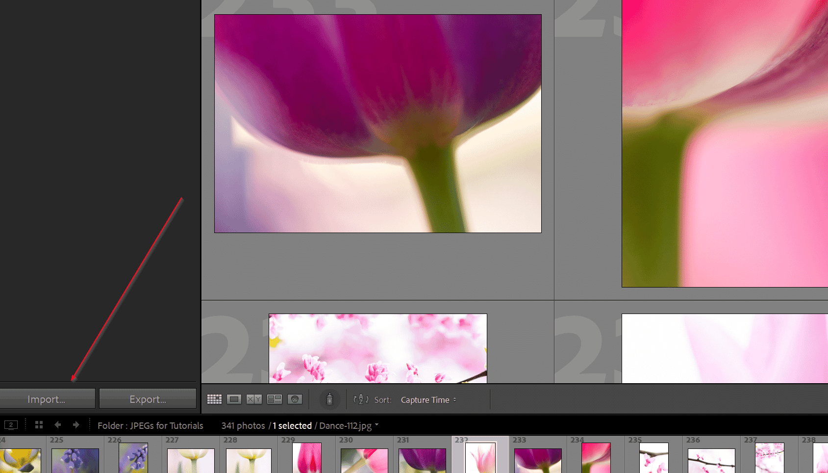 How to Edit Photos in Lightroom: The Ultimate Guide