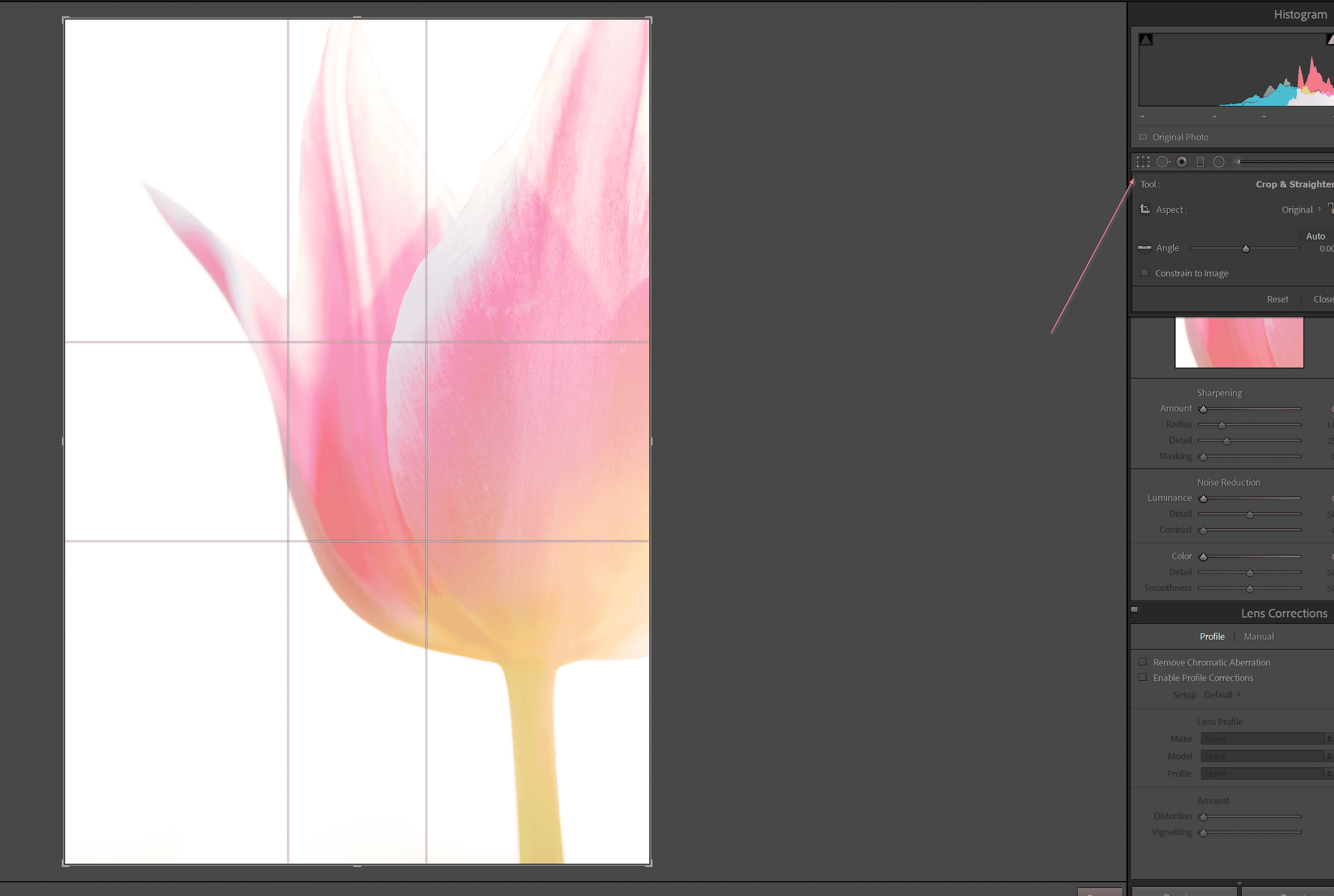 How to Edit Photos in Lightroom: The Ultimate Guide