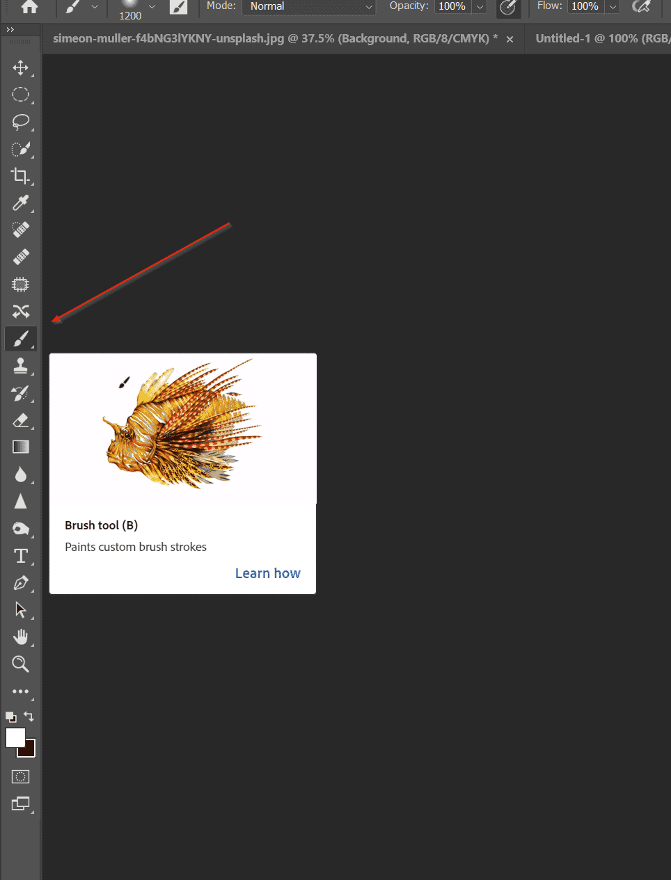 How to Edit Photos in Photoshop: A Beginner's Guide