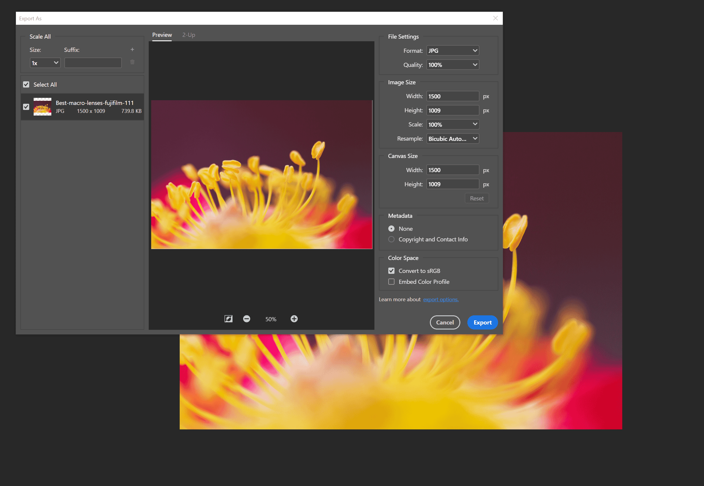 How to Edit Photos in Photoshop: A Beginner's Guide