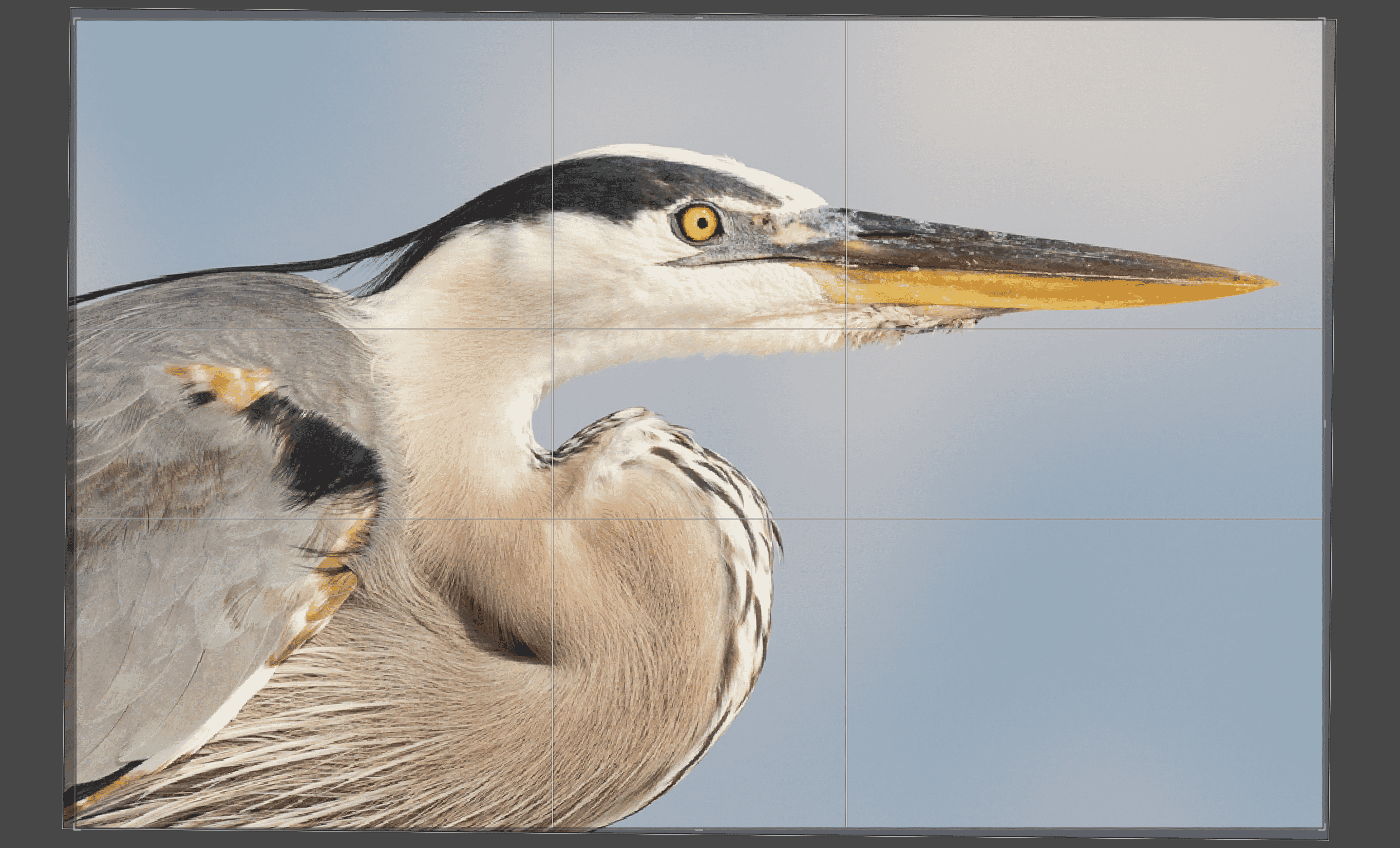 Photo Editing for Beginners: How to Get Started