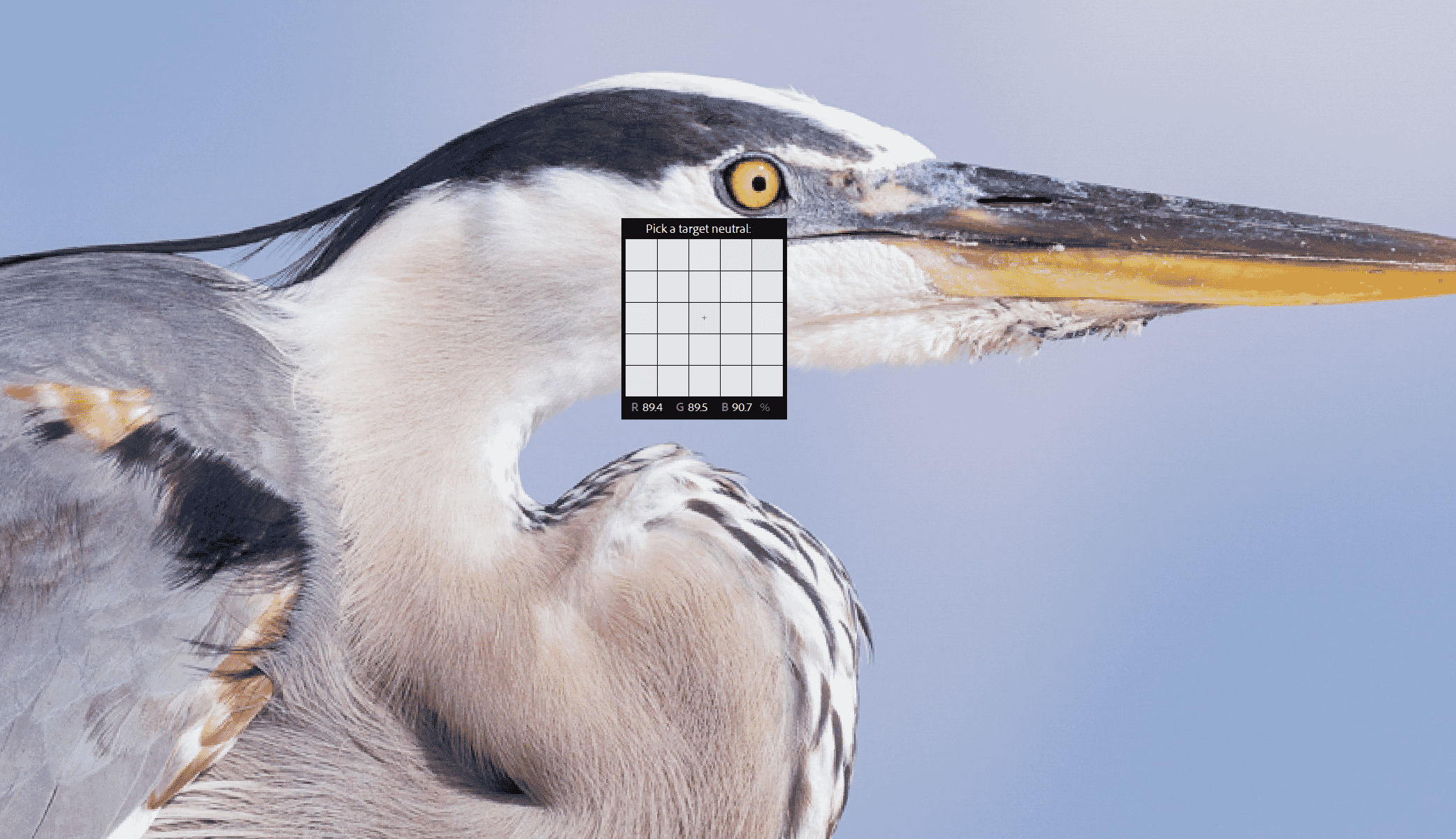 Photo Editing for Beginners: How to Get Started