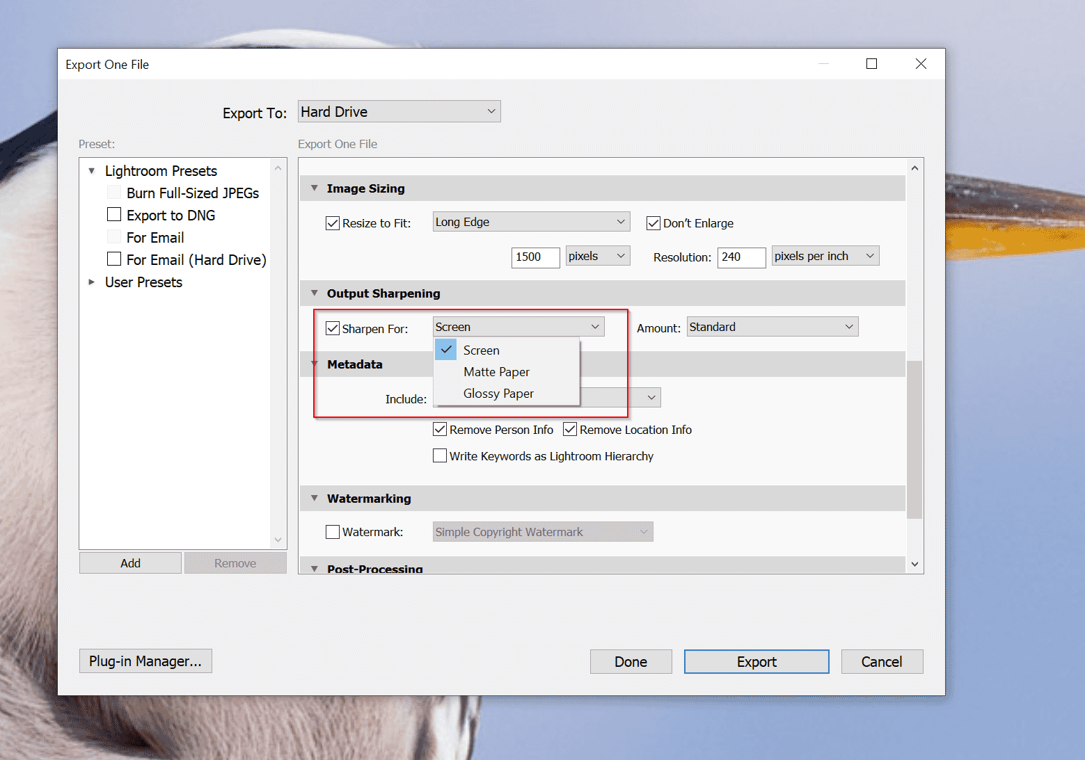 Photo Editing for Beginners: How to Get Started