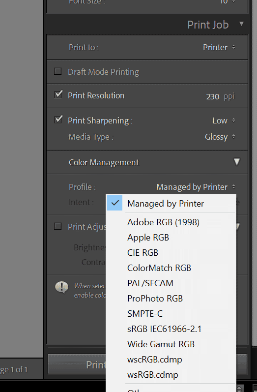 Printing in Lightroom: A Step-By-Step Guide for Great Results