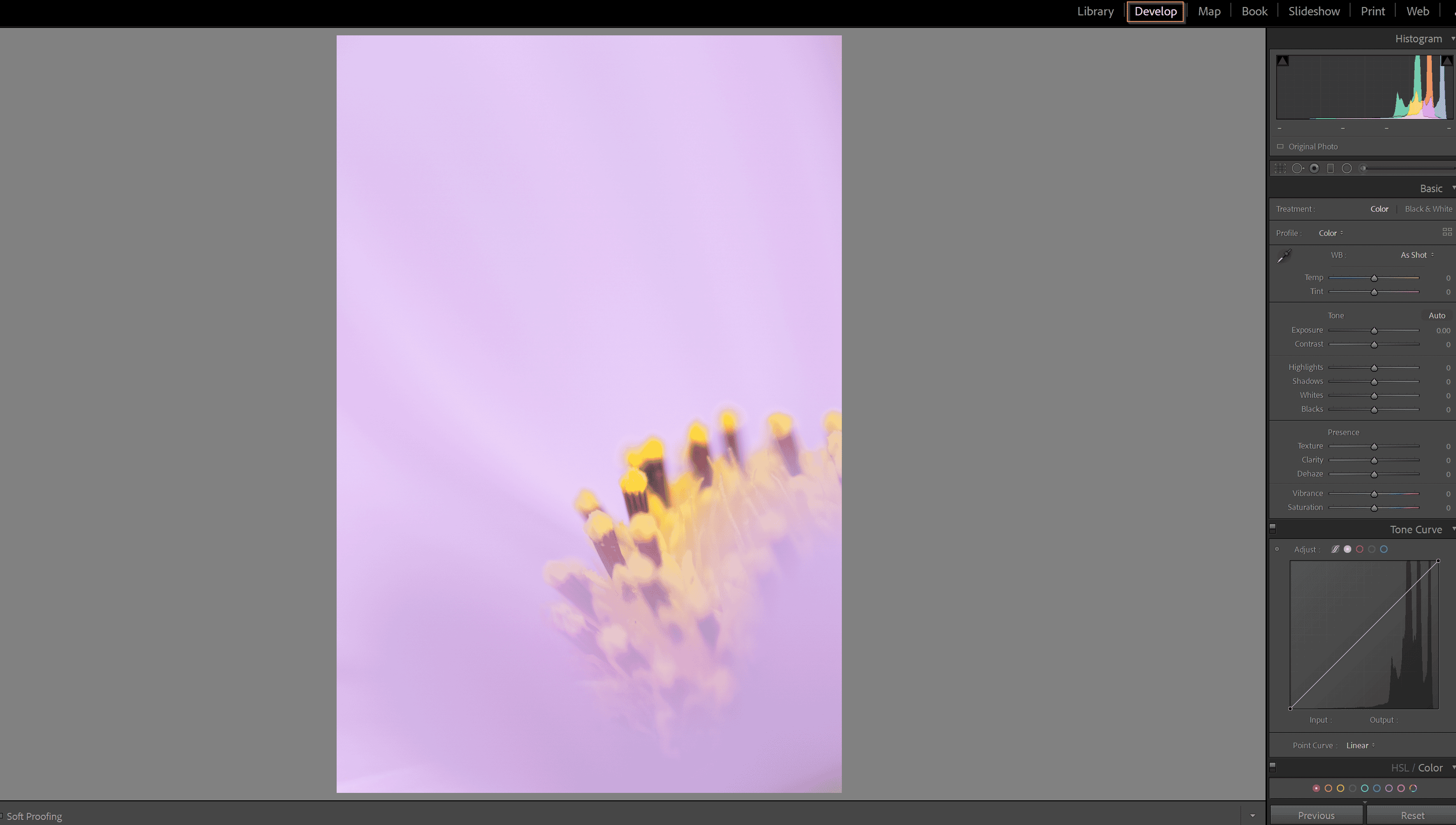Soft Proofing in Lightroom and Photoshop (Complete Guide)