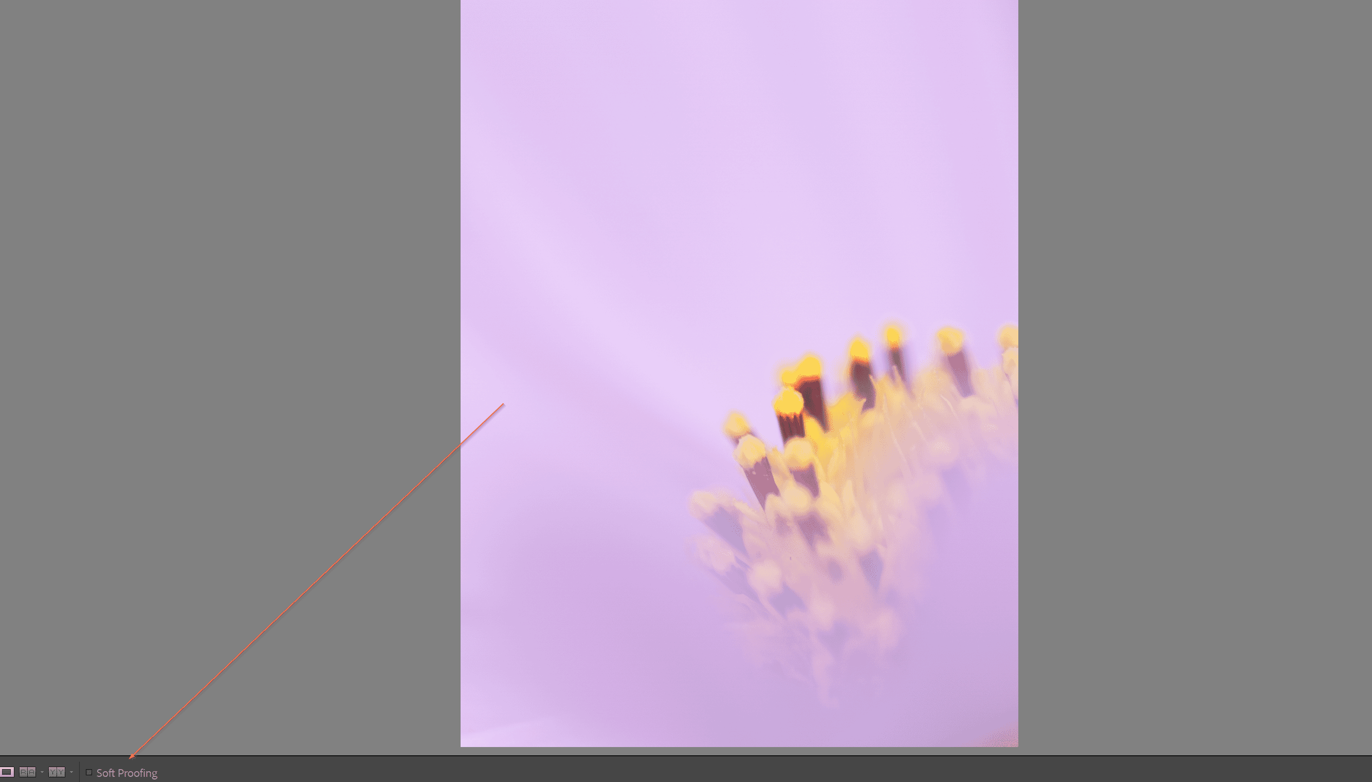 Soft Proofing in Lightroom and Photoshop (Complete Guide)
