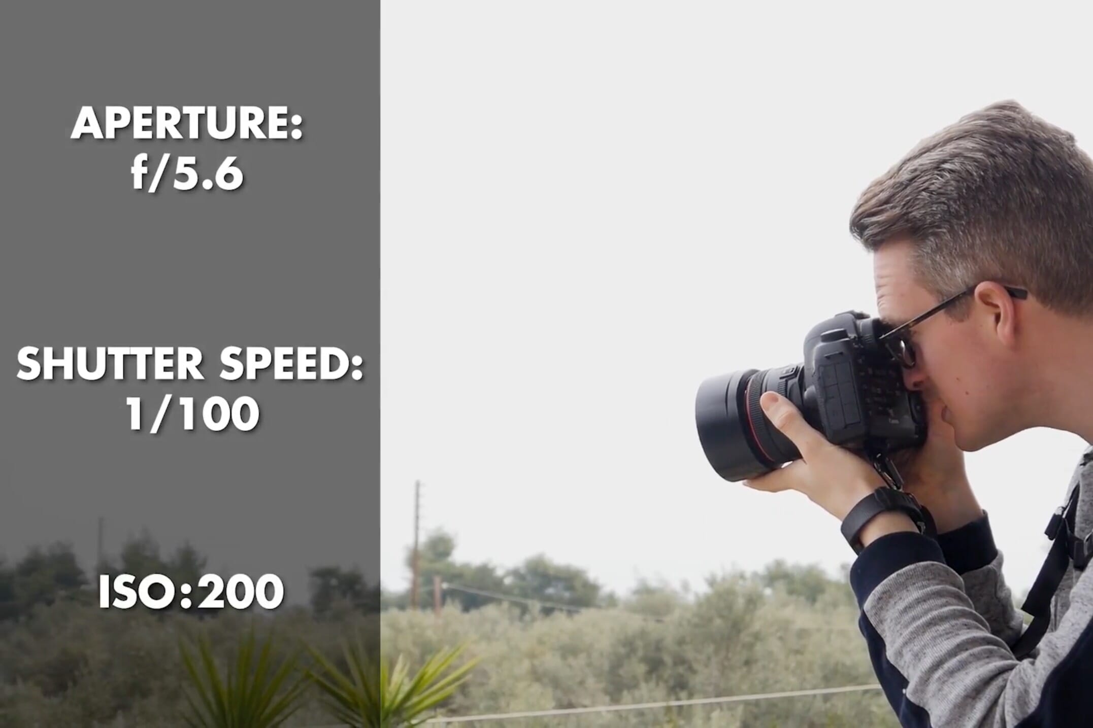 Best Online Photography Courses in 2024 to Take from Home