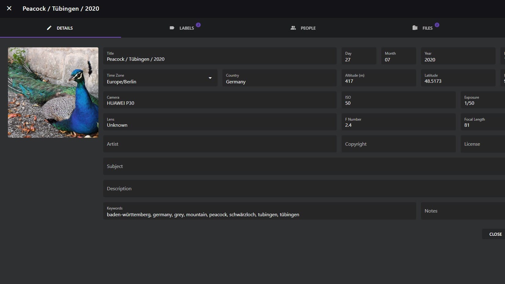 8 Best AI Photo Organizers for an Effective Workflow in 2024