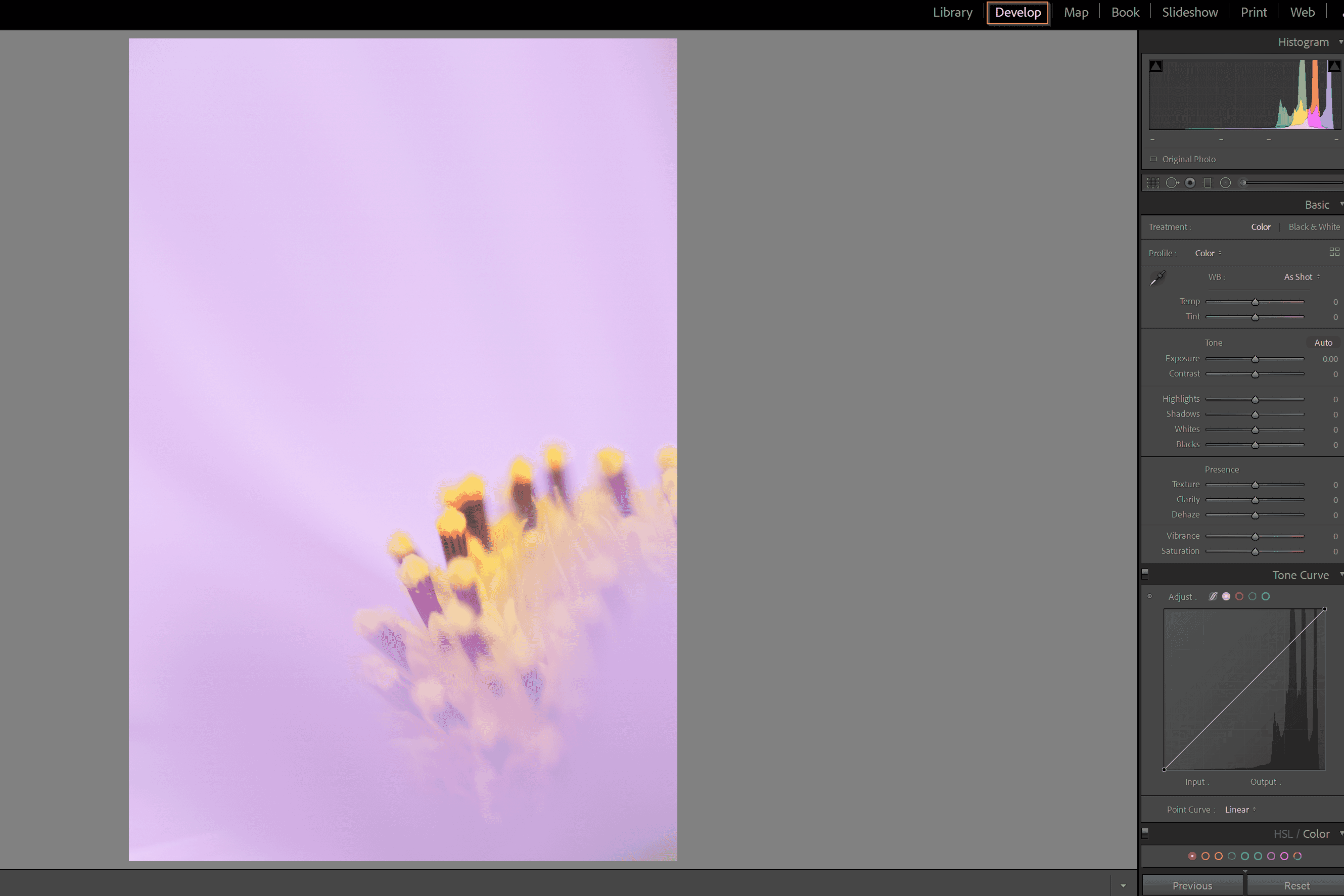 Soft Proofing in Lightroom and Photoshop (Complete Guide)