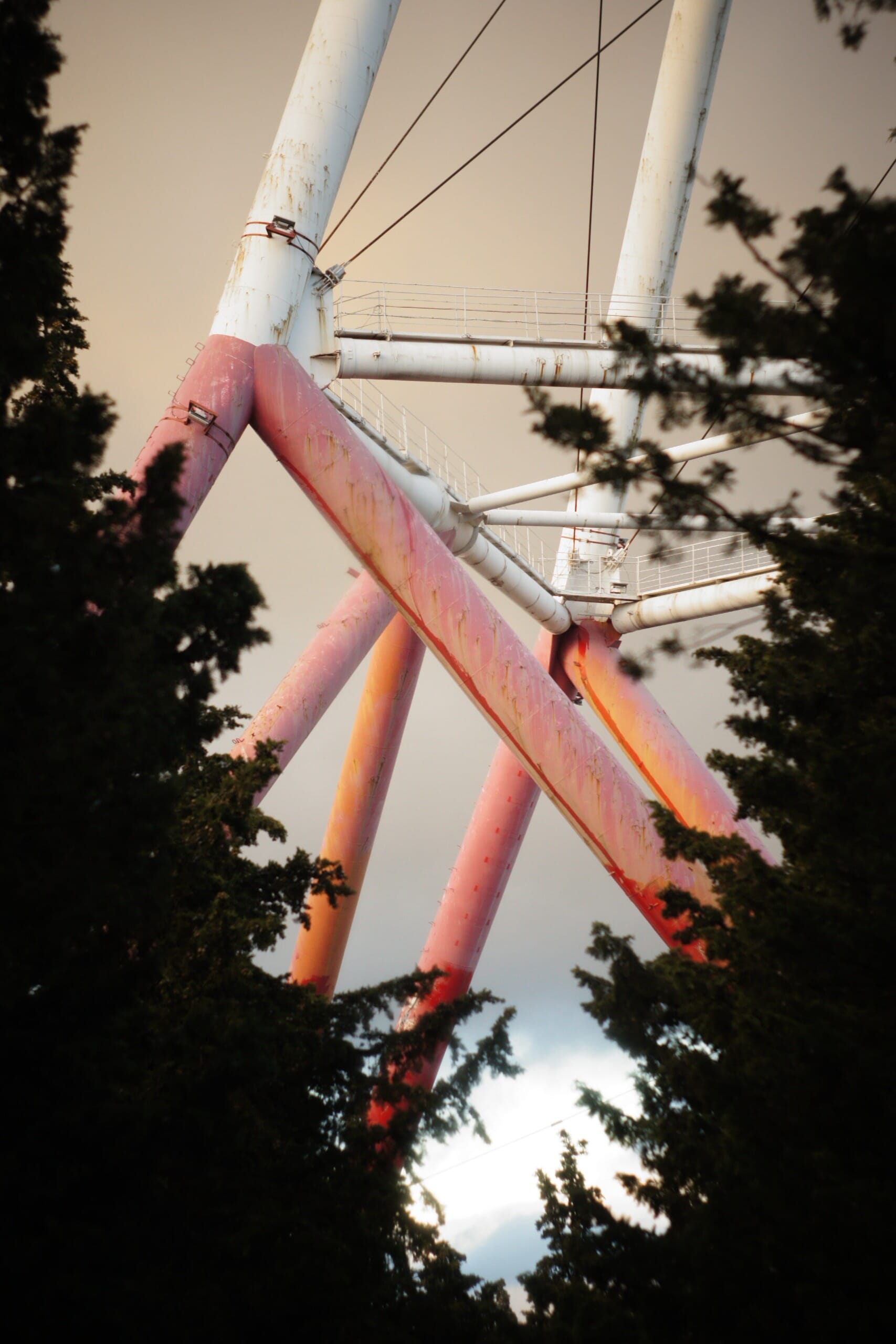 A Comprehensive Guide to Frame Within a Frame Photography