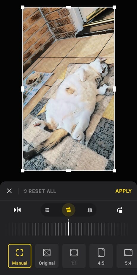 Best AI Photo Editor: 9 Programs to Speed Up Your Workflow