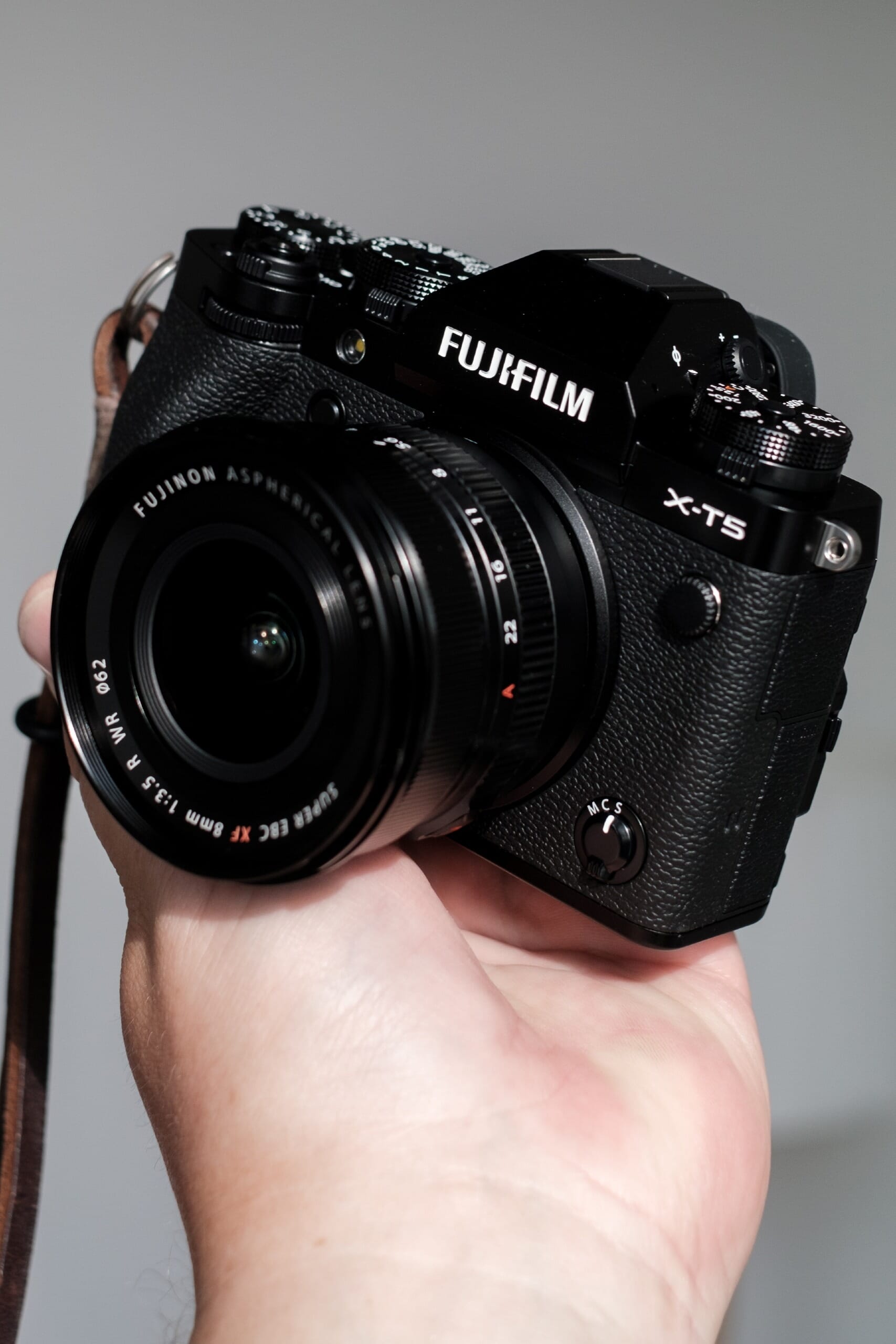 Best Cameras for Focus Stacking: Top 7 Picks (in 2024)