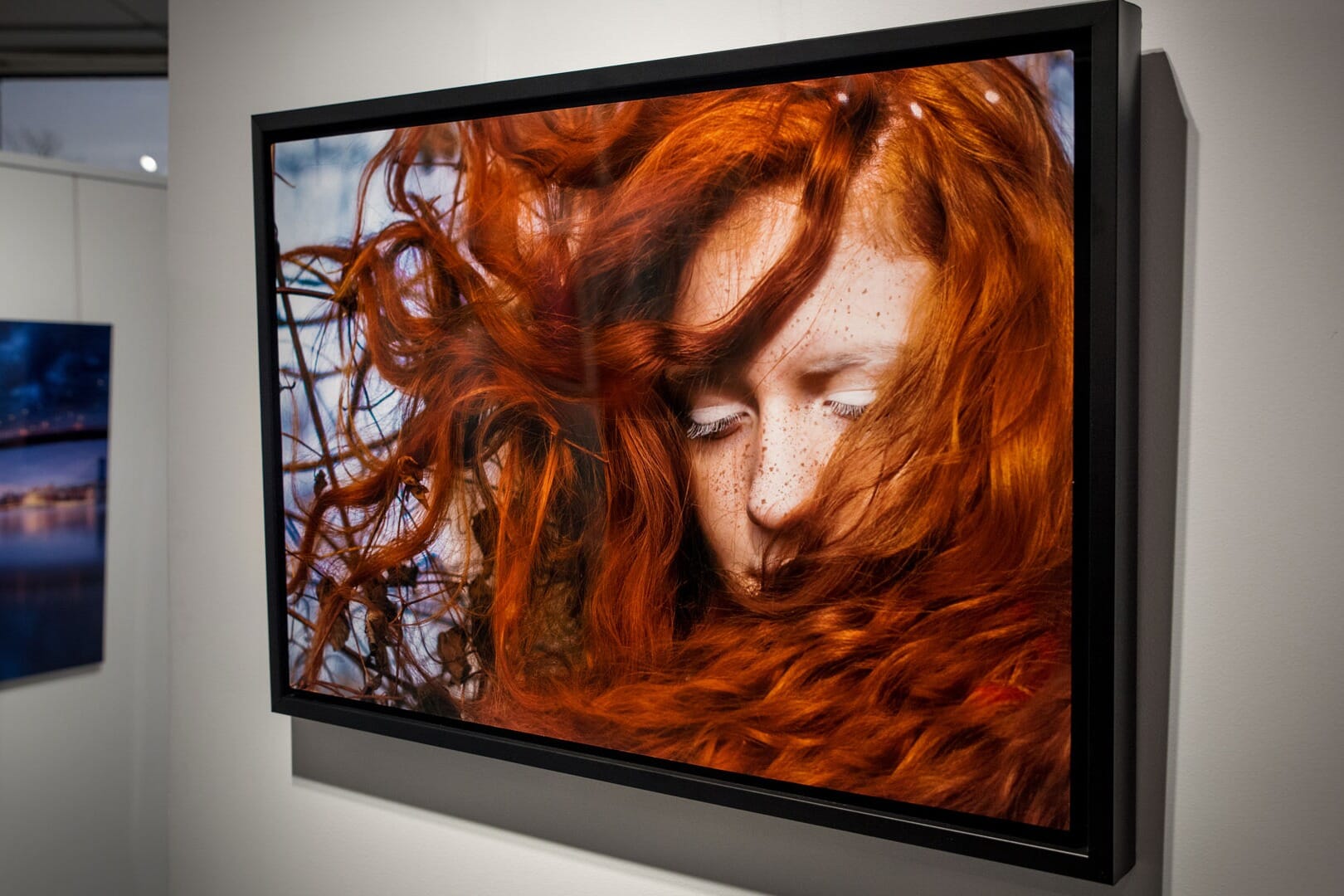 Best Metal Prints (Top 10 Picks in 2024)