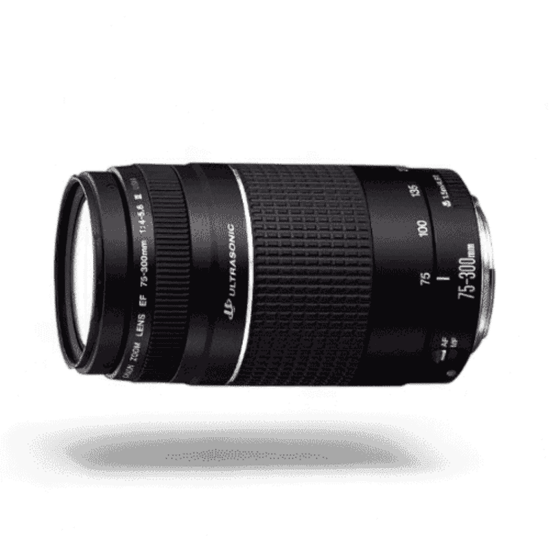 Canon EF 75-300mm f/4-5.6 Specs & Sample Photos | PhotoWorkout